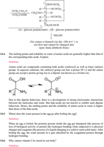 Hbse 12th Class Chemistry Solutions Chapter 14 Biomolecules Haryana