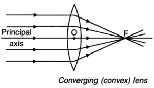 HBSE 10th Class Science Important Questions Chapter 10 Light Reflection ...